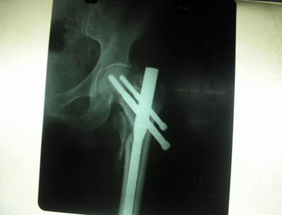 Internet Scientific Publications